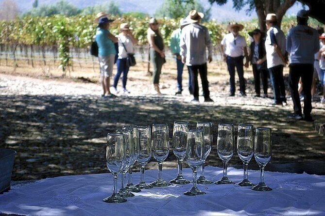 Full Day Tour in Finca Estramancia Vineyard with stop in Chapala - FAQ