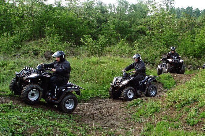 Full Day Tour in Sapanca from Istanbul - Key Points