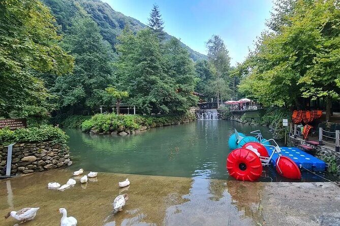 Full Day Tour in Sapanca & Masukiye from Istanbul - What Does the Experience Offer in Value?
