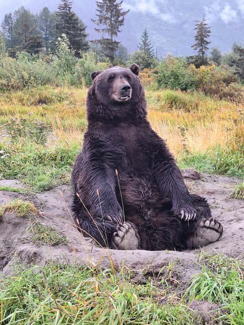 Full-day Tour in Turnagain - Transportation and Group Size