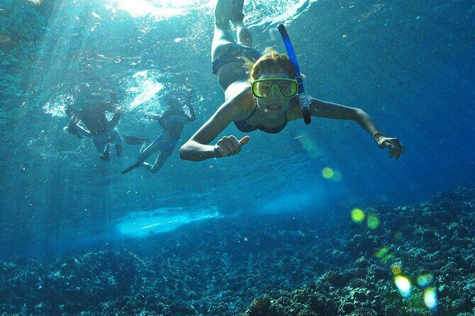 Full Day Tour Isla Marietas with Meals and Open Bar - FAQs