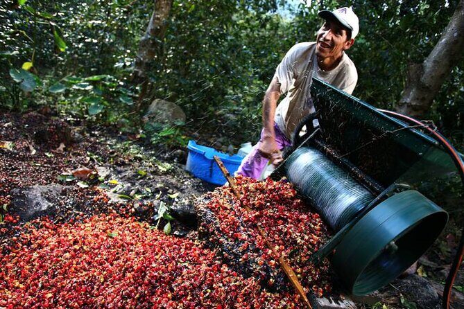 Full-Day Tour Llano Grande Waterfalls and Coffee Plantation in Huatulco! - Final Thoughts