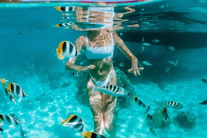 Full Day Tour : Moorea Snorkeling & Sunset Cruise on a Catamaran named Taboo - The Practicalities: What to Expect