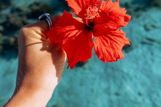 Full Day Tour : Moorea Snorkeling & Sunset Cruise on a Catamaran named Taboo - Authentic Experiences from Fellow Travelers