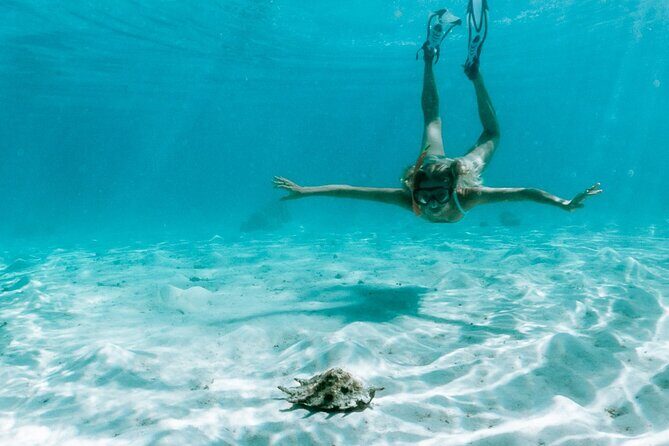 Full Day Tour : Moorea Snorkeling & Sunset Cruise on a Catamaran named Taboo - Final Thoughts