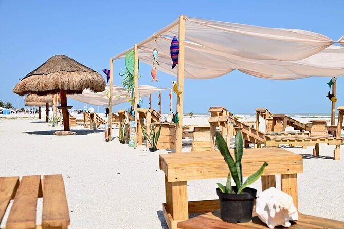 Full Day Tour of Holbox Island and Yalahau Cenote with Lunch - The Yalahau Cenote