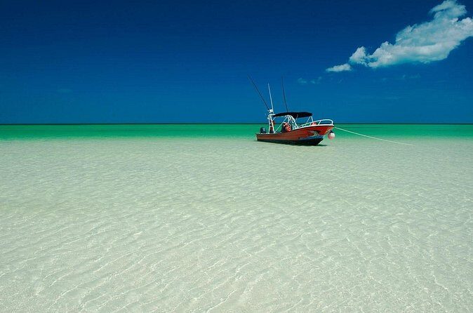 Full-Day Tour of Holbox Island with Lunch - Who Might Want to Consider Alternatives