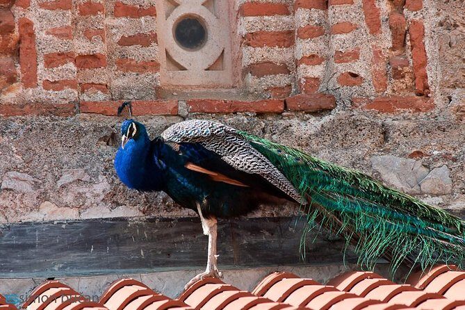 Full day tour of Ohrid with St Naum from Skopje - Final Thoughts