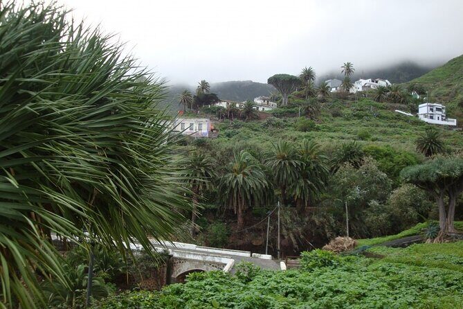 Full Day Tour of Santa Cruz and San Cristóbal de La Laguna - The Itinerary in Detail