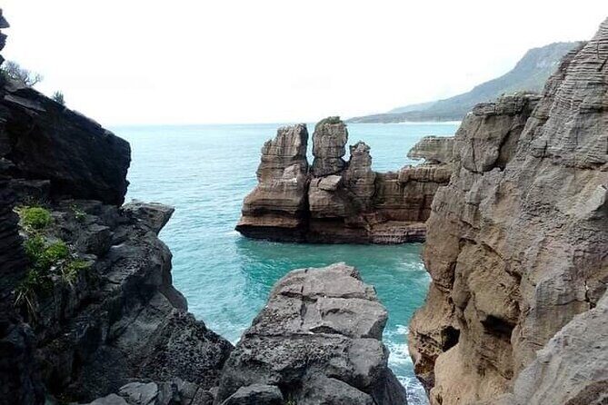 Full Day Tour of the Sights and Tastes of the West Coast - Who Would Love This Tour?