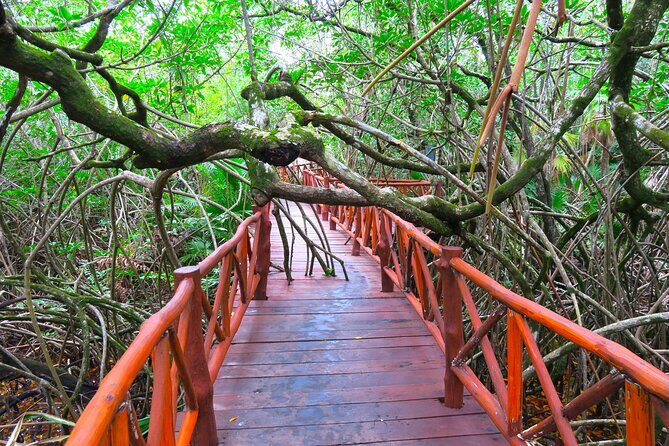 Full-Day Tour of Tulum Ruins and Cenotes with Lunch - Who Should Book This Tour?