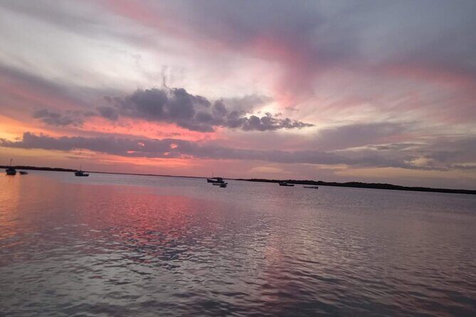 Full Day Tour Río Lagartos with Pickup from Mérida 7 AM - Starting the Day: Pickup and Transportation