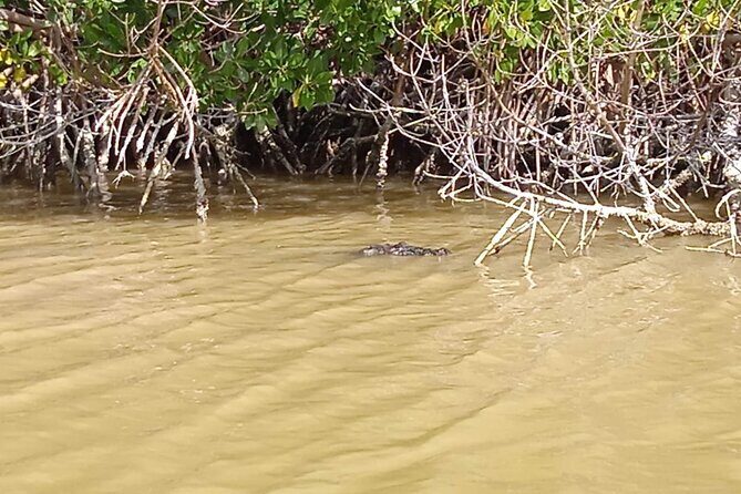 Full Day Tour Río Lagartos with Pickup from Mérida 7 AM - First Stop: Las Coloradas – The Pink Lakes