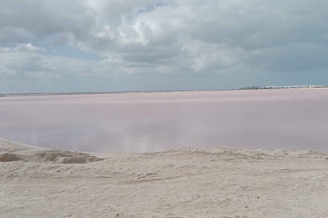 Full Day Tour Río Lagartos with Pickup from Mérida 7 AM - Lunch and Rest