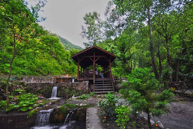 Full Day Tour Sapanca and Masukiye from Istanbul - An In-Depth Look at the Tour Experience