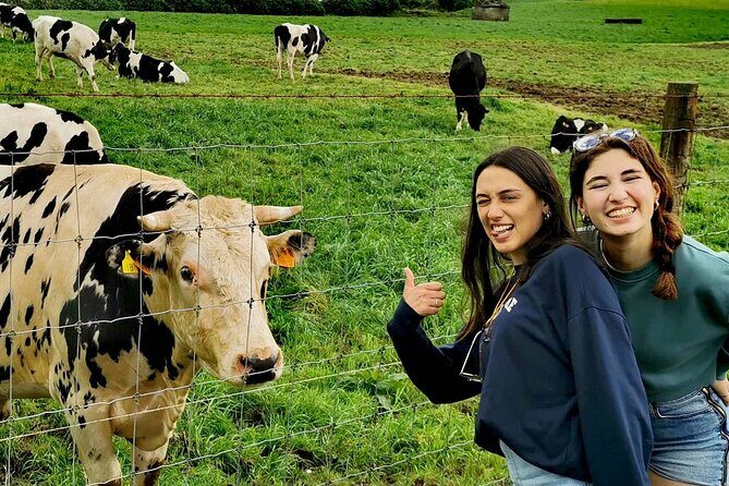 Full Day Tour Sete Cidades & Lagoa do Fogo with Lunch - Who Should Book This Tour?