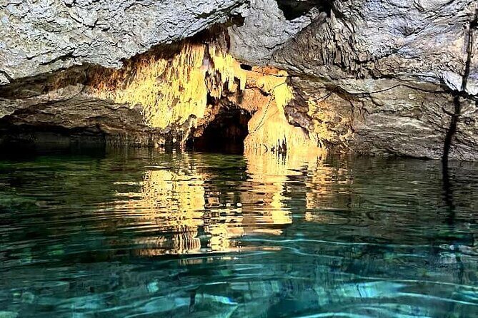 Full Day Tour Snorkeling with Turtles in Akumal, Tulúm and Playa del Carmen - Summary: Is This Tour Worth It?