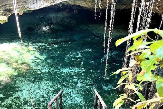 Full Day Tour Snorkeling with Turtles in Akumal, Tulúm and Playa del Carmen - FAQ