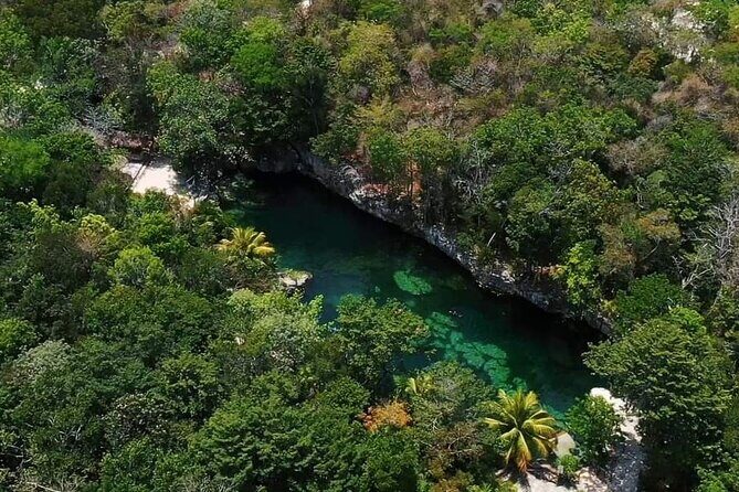 Full Day Tour to 5 Magical Cenotes in the Riviera Maya - Exploring the Itinerary in Detail