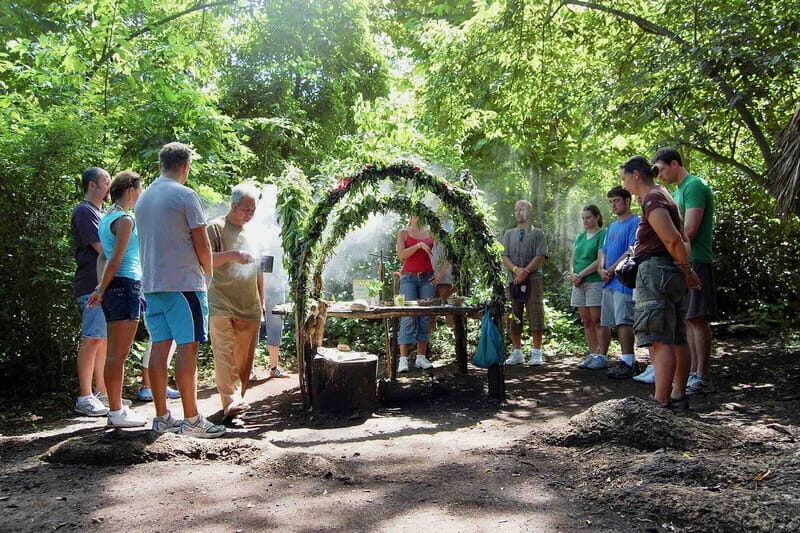 Full Day Tour to Cobá Ruins, Punta Laguna & Cenote - Wrapping It Up: Who Will Love This Tour?