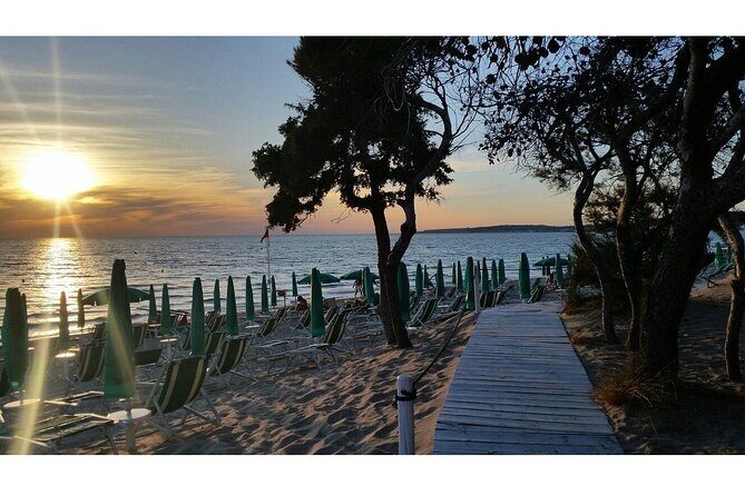 Full Day Tour to Gallipoli, Galatina, Coast, Beaches and Winery - Key Points