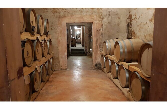 Full Day Tour to Gallipoli, Galatina, Coast, Beaches and Winery - What Makes This Tour Stand Out