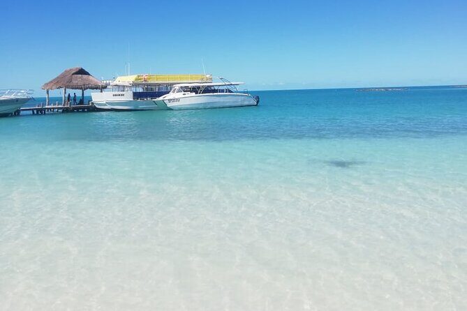 Full Day Tour to Isla Contoy and Isla Mujeres from Cancun - Setting the Scene: An Overview of the Tour