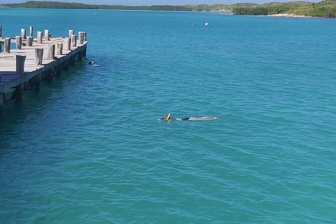 Full Day Tour to Isla Contoy and Isla Mujeres from Cancun - Whats Included and What to Expect