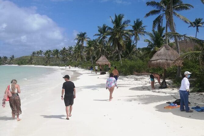 Full Day Tour to Isla Contoy and Isla Mujeres from Cancun - Authentic Experiences & Traveler Insights