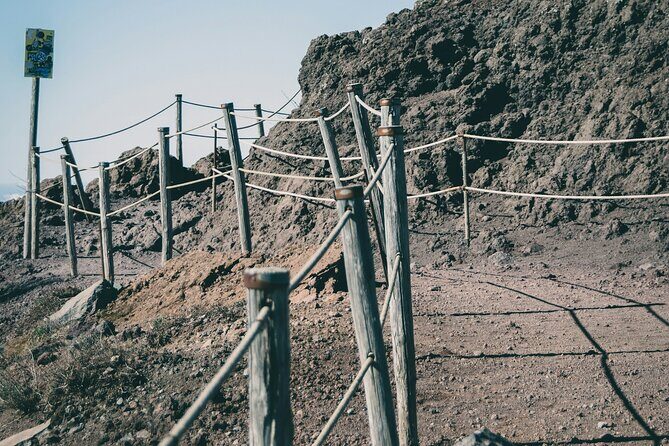 Full Day Tour to Pompeii, Vesuvius and Wine Tasting - Who Will Love This Tour?