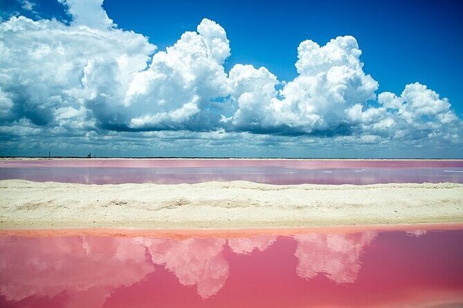 Full day tour to Rio Lagartos and Las Coloradas from Riviera Maya - Key Points