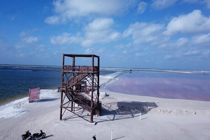 Full day tour to Rio Lagartos and Las Coloradas from Riviera Maya - Practical Tips for Travelers