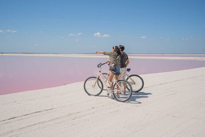 Full day tour to Rio Lagartos and Las Coloradas from Riviera Maya - Who is This Tour Best For?