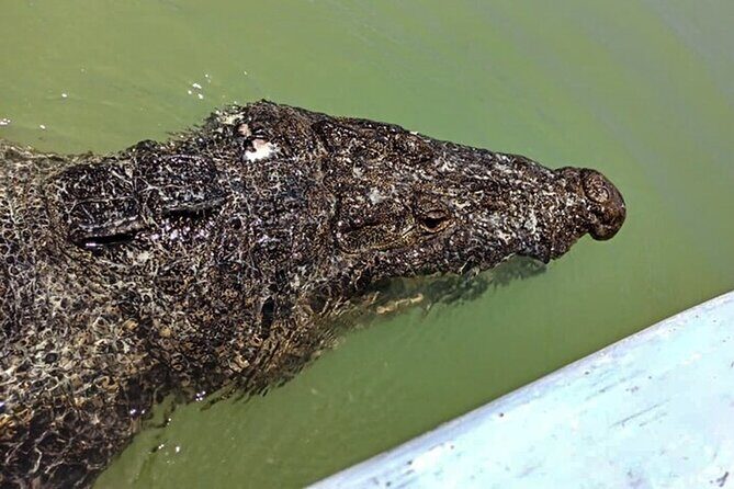 Full day tour to Rio Lagartos and Las Coloradas from Riviera Maya - FAQs