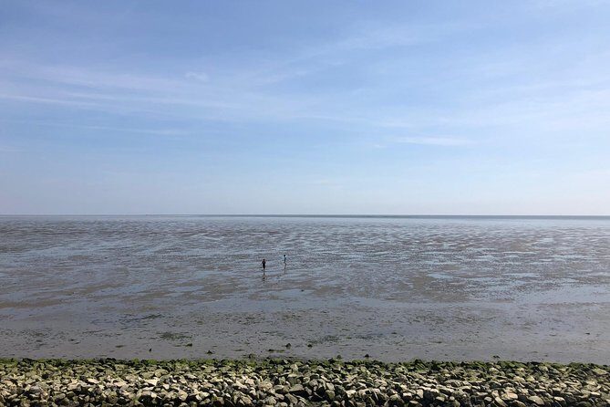 Full day tour to Texel - Friesian Islands - from Amsterdam - The Sum Up