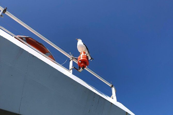 Full day tour to Texel - Friesian Islands - from Amsterdam - FAQ