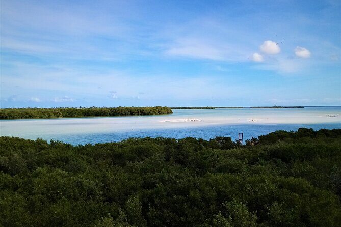 Full Day Tour to the Best of Holbox - Who Should Consider This Tour?