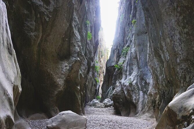 Full Day Tour to the Island of Mallorca - Who Should Take This Tour?