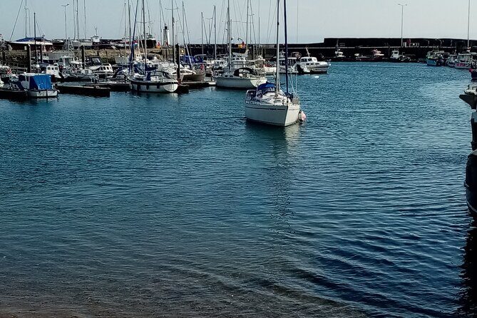 Full-Day Tour to the Scottish Highlands - Pricing and Value