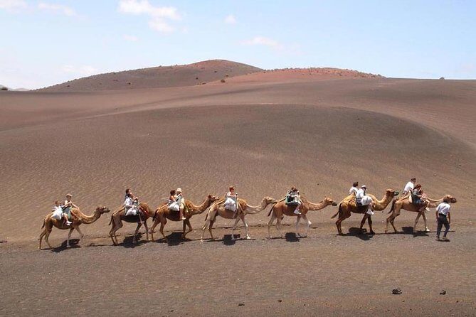 Full Day Tour to Timanfaya, Green Lagoon and La Geria - Frequently Asked Questions