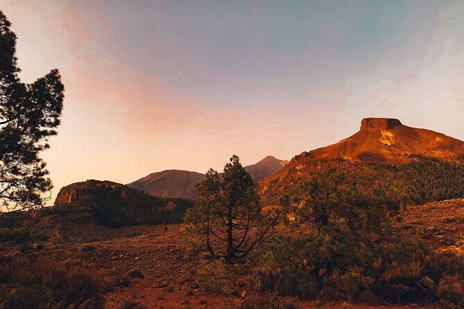 Full Day Tour with Certified Guide in Tenerife - FAQs