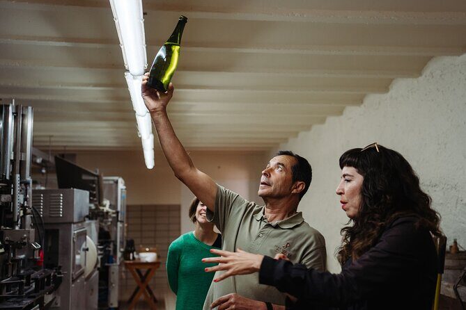 Full-Day Trip Barcelona to Montserrat Monastery & Cava Winery - What Makes this Tour Stand Out?