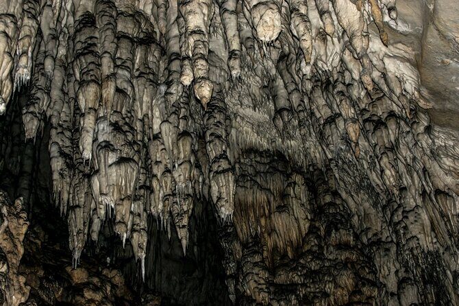 Full Day Trip from Belgrade: Uvac Nature Reserve Tour - Final Thoughts: Is It Worth It?