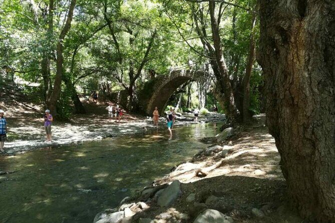 Full Day Troodos Guided Safari Tour with Pick Up - Exploring the Troodos Mountains: What to Expect