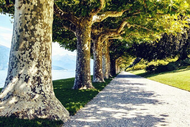 Full-Day Villas of Lake Como from Varenna, Bellagio and Tremezzo - Value for Money and Price Analysis