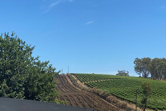 Full-Day VIP Hahndorf and McLaren Vale Private Car Tour - Why Choose the Full-Day VIP Hahndorf and McLaren Vale Tour?