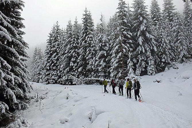 Full-day Vitosha Mountain Snowshoe Hiking Tour from Sofia - Key Points
