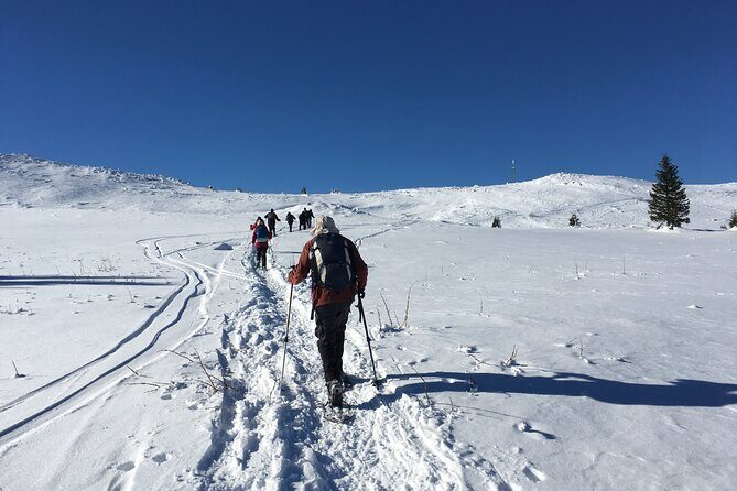Full-day Vitosha Mountain Snowshoe Hiking Tour from Sofia - Discovering Vitosha Mountain on Snowshoes