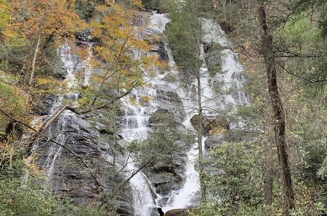 Full Day Waterfalls Tour in North Georgia with Scenic Hikes - In The Sum Up