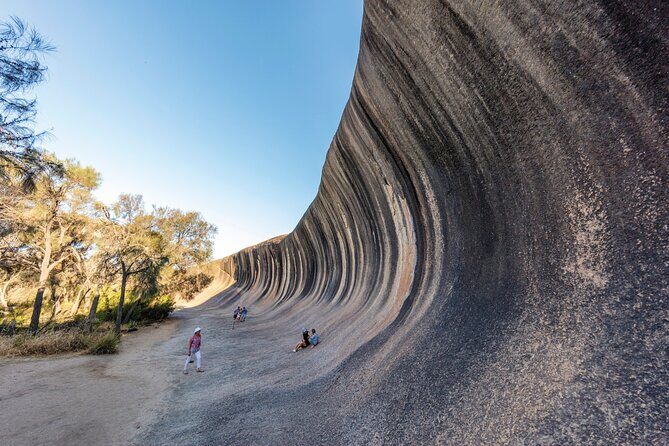Full-Day Wave Rock & Historic York - Who Would Love This Tour?